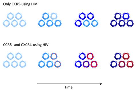 Evolution Of Hiv 1 Coreceptor Usage During The Progression Of The