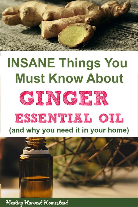 The Complete Guide To Using Ginger Essential Oil And Why It Should Be