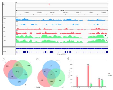 Ijms Free Full Text Integration Of Atac Seq And Rna Seq Unravels
