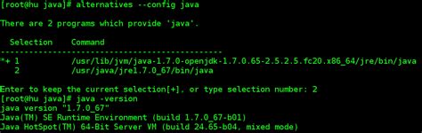 how to install oracle jre on fedora 20 and use alternatives to switch