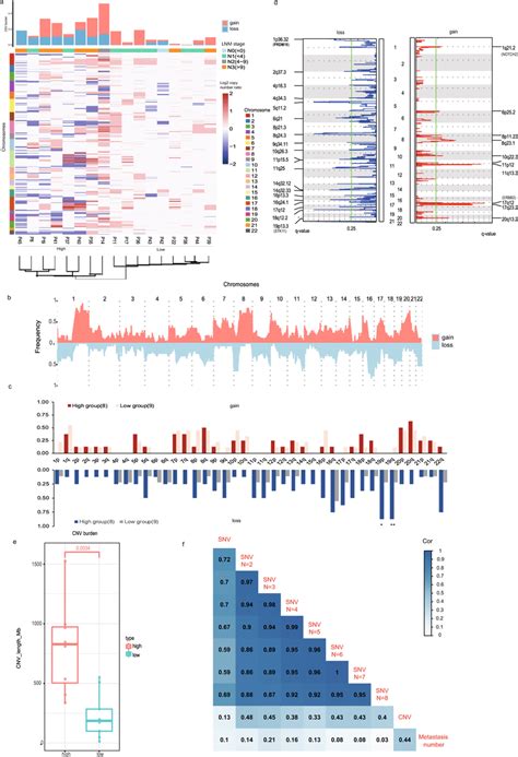impc genomic cnvs in 17 freshly frozen impc tumor normal tissue pairs a