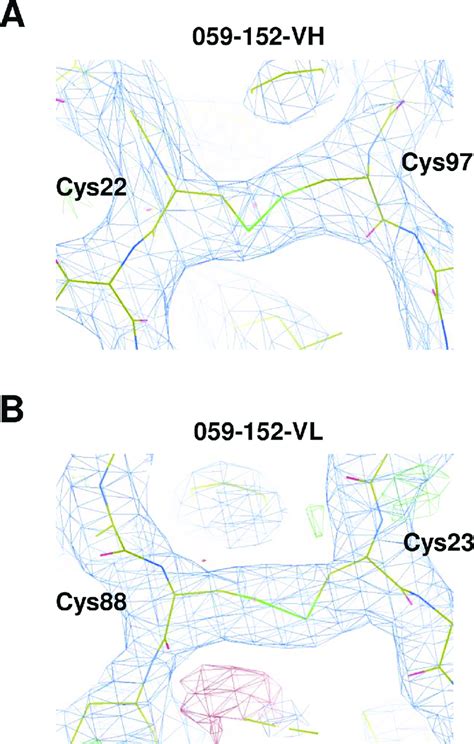 Electron Density Map Of Intradomain Disulfide Bonds Of 059 152 Fv