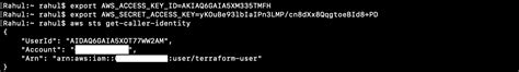 how to manage an aws rds instance using aws cli techlear