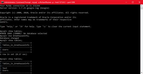 node js cloud sql mysql database tables not found when