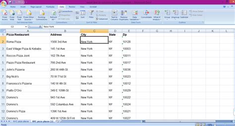 how to use excel text to columns to separate addresses