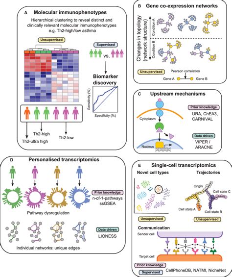 An Overview Of Applications For Transcriptomics To Better Understand