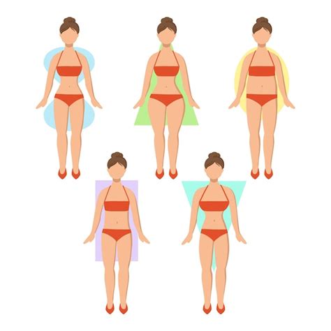 Premium Vector Hand Drawn Types Of Female Body Shapes