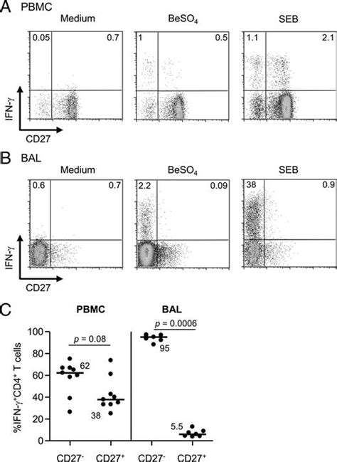 Cd27 Expression On Cd4 T Cells Differentiates Effector From Regulatory
