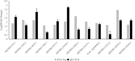 Frontiers Transcriptome Profiling Of Transposon Derived Long Non