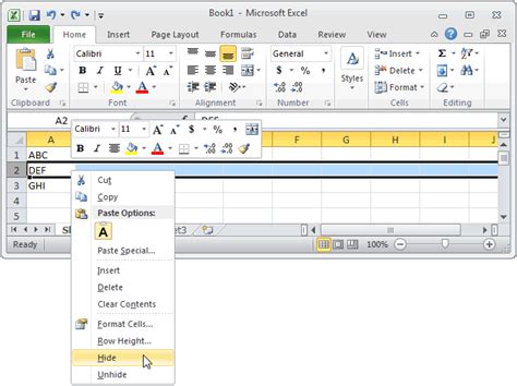 ms excel 2010 hide a row