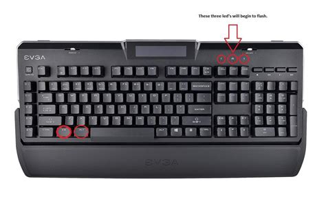 evga faq how can i assign macro keys to my evga z10 keyboard