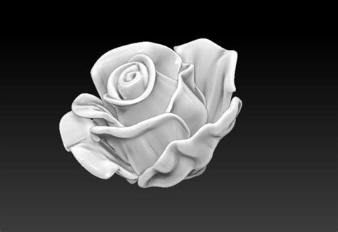 3d Printed Rose Flower By Aaamodel Pinshape