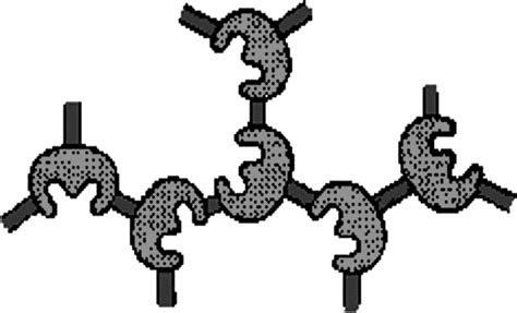 6 Cross Linking Immobilization Of Enzymes Has Been Achieved By