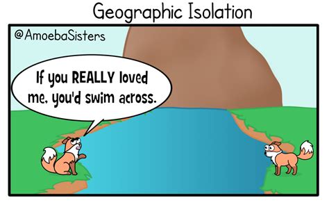 All Of These Reproductive Isolation Types Can Lead To Speciation 3 Of