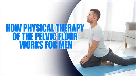 Pelvic Floor Health Symptoms Causes And Benefits Of Pt For Men And Women