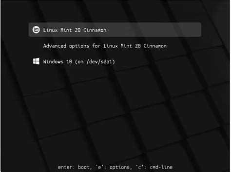 How To Dual Boot Linux Mint 20 With Windows 10