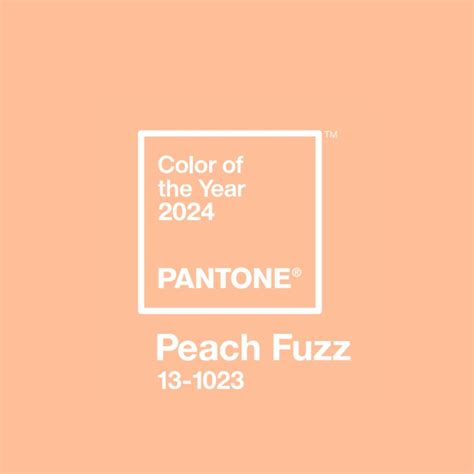 Pantone Color Of The Year 2024 Peach Fuzz Article Onthursd