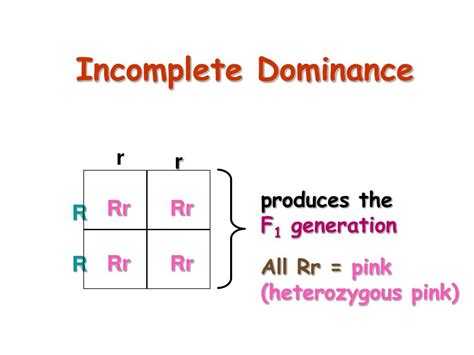 Ppt Non Mendelian Patterns Of Inheritance Incomplete Dominance