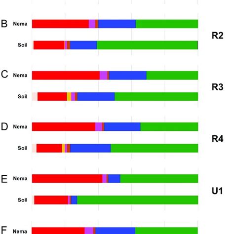 Relative Read Abundances And Phylum Of Sequence Variants Svs In Each