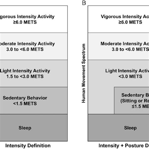 Defining Sedentary Behavior As Part Of The Human Movement Spectrum
