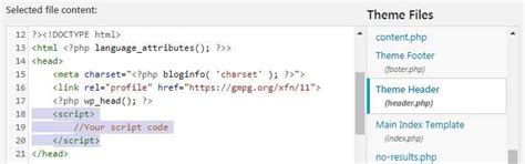 add javascript code in wordpress simple ways