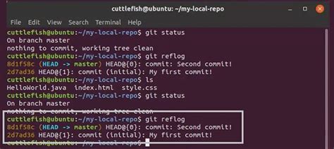 how to use the git remote add origin command to push remotely