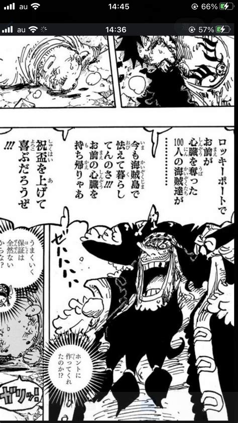 【ワンピース】謎扱いされてるロッキーポート事件ってローが100人の心臓取った事じゃない？ あにまんch