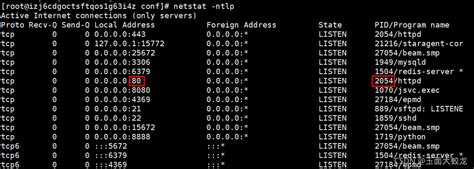 linux下启动nginx时报错：nginx [emerg] bind to 0 0 0 0 80 failed 98