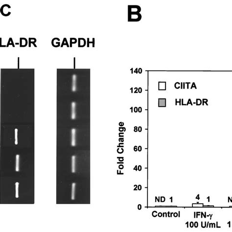 Activation Of Mhc Class Ii Gene Expression By Ifn And Dais In The