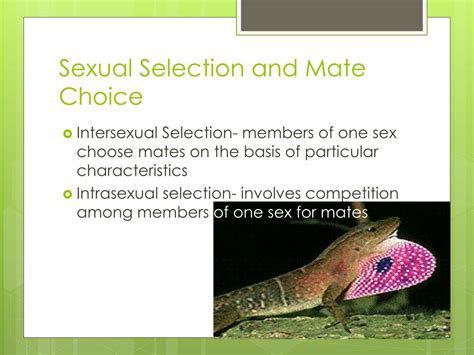 Ppt Natural Selection Favors Behaviors That Increase Survival And