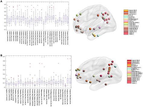 Frontiers The Effect Of Seed Location On Functional Connectivity