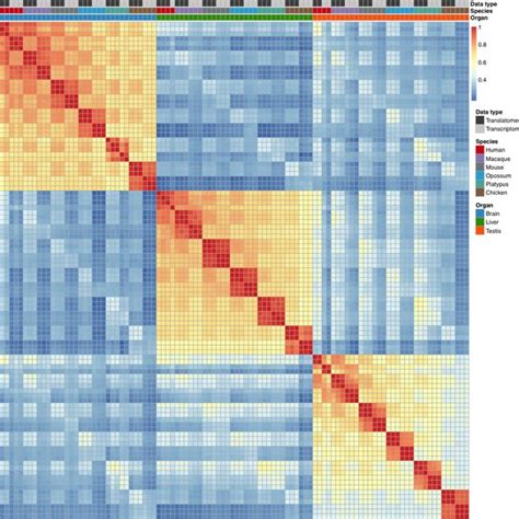 Correlations Of Gene Expression Levels Between Sequenced Libraries The