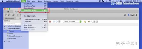 Mysql Workbench 使用教程 如何使用 Workbench 操作 Mysql Mariadb 数据库中文指南