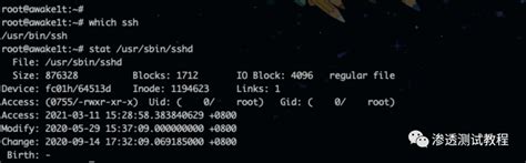 linux应急常用命令 技巧总结 哔哩哔哩专栏