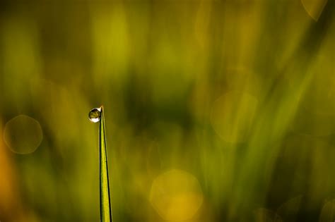 Wallpaper Sunlight Water Nature Minimalism Reflection Field