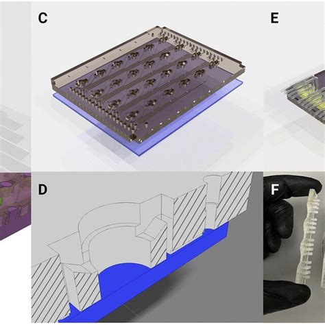 Fabrication Of The Pdms Microfluidic Chip A Graphical Rendering Of
