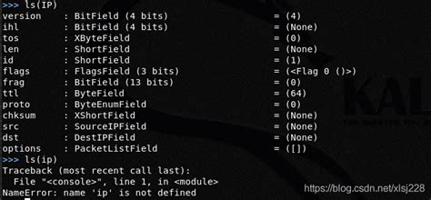 scapy学习笔记 python srloop csdn博客