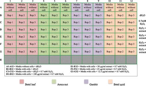 Layout Of The 96 Well Plate For Cytoprotective Analysis Different
