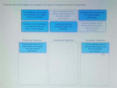 solved classify each description according to the type of