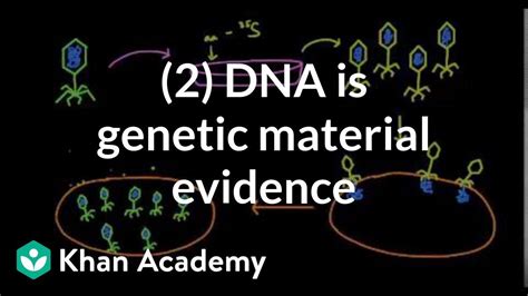 Evidence That Dna Is Genetic Material 2 Biomolecules Mcat Khan