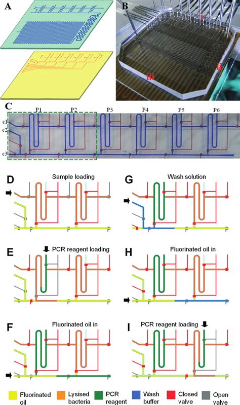 Structure And Operation Of The Microfluidic Device For Continuousflow