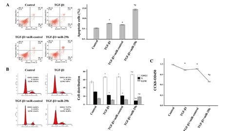 Microrna 29b Inhibits Tgf β1 Induced Fibrosis Via Regulation Of The Tgf