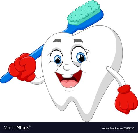 Smiling Healthy White Tooth Cartoon Character Vector Image