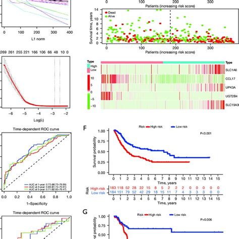 A Nomogram Integrating The Five Gene Signature And Clinical Factors