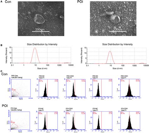 Mirna‐122‐5p In Poi Ovarian‐derived Exosomes Promotes Granulosa Cell