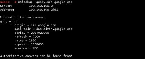 nslookup command linux