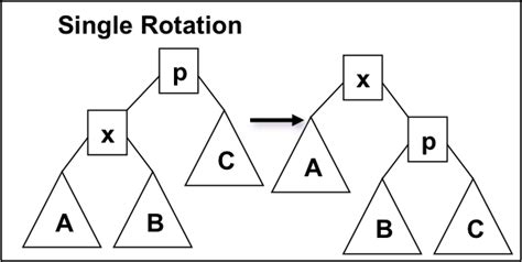 trees — cs 340 algorithms and data structures 1 0 documentation