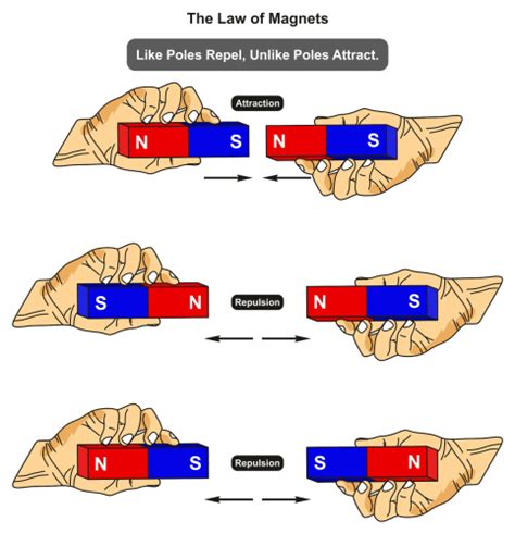 The South And North Pole Of Two Magnets Will Each Other