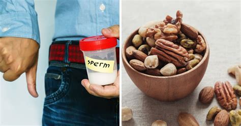 ¿se Puede Mejorar La Calidad Del Semen Cómo Hacerlo Con Frutos Secos