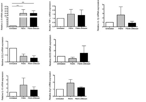 Analysis Of Il 6 Il 1β Tnf α Il 10 Inos Arg1 And Ccl2 Transcripts